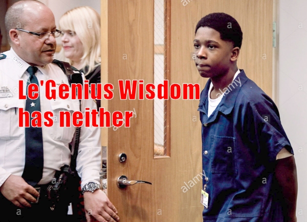 LE’GENIUS? NOT SO MUCH. Florida deals with violent juveniles… – Guns ...