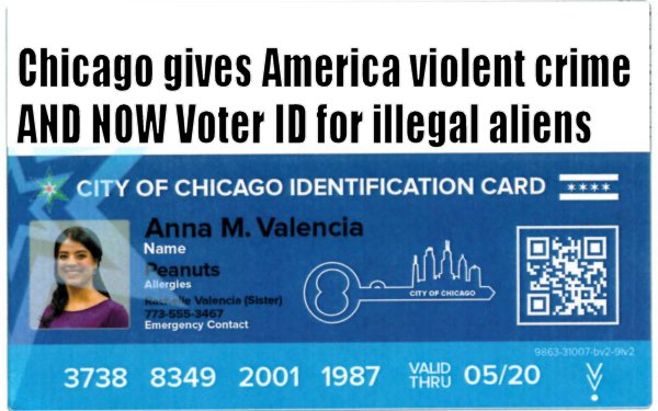 DEMOCRATS’ “VOTER ID”: Chicago ID card would be valid voter ...